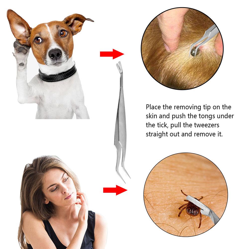 6PCS Pet Dog Tick Remover Tool Set Stainless Steel... – Grandado