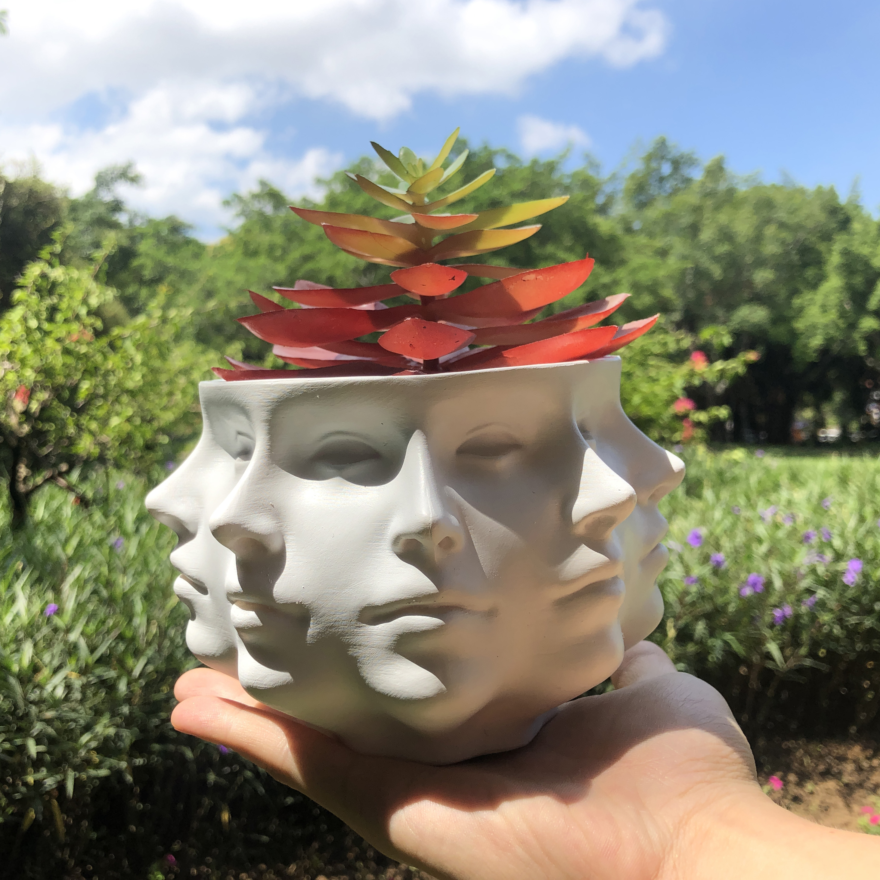 Multi-Face Succulent Planter Vase Small Face Plant... – Grandado