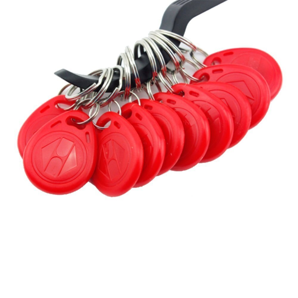 100 stks 125 khz EM4100 Sleutelhangers RFID Proxim... – LovingPrices