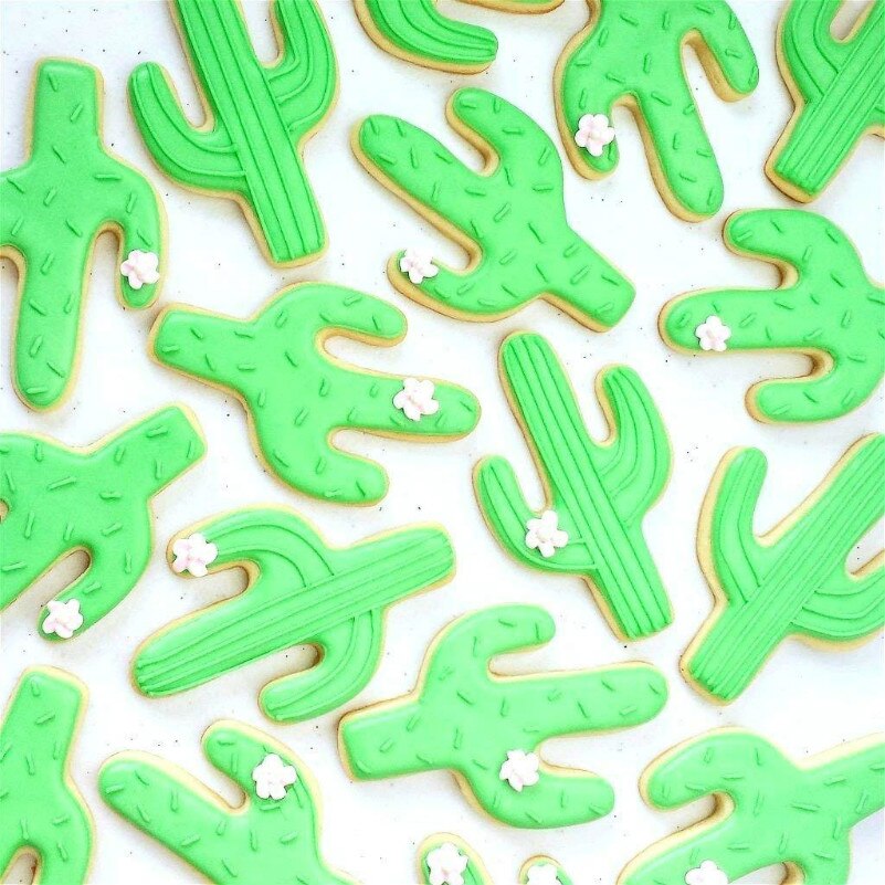 KENIAO Tropical Plant Cactus Cookie Cutter Stainle... – Grandado