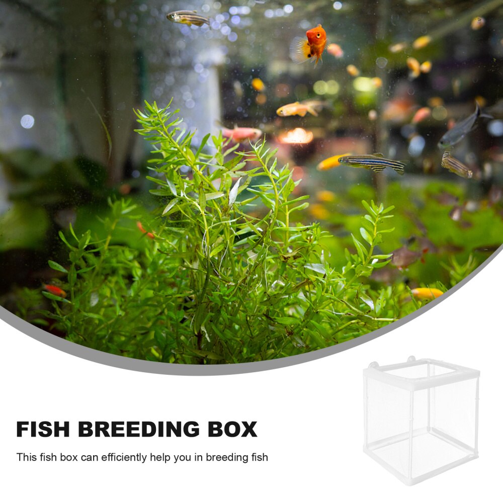 1Pc Fish Breeder Box Practical Fish Aquarium Home ... – Grandado