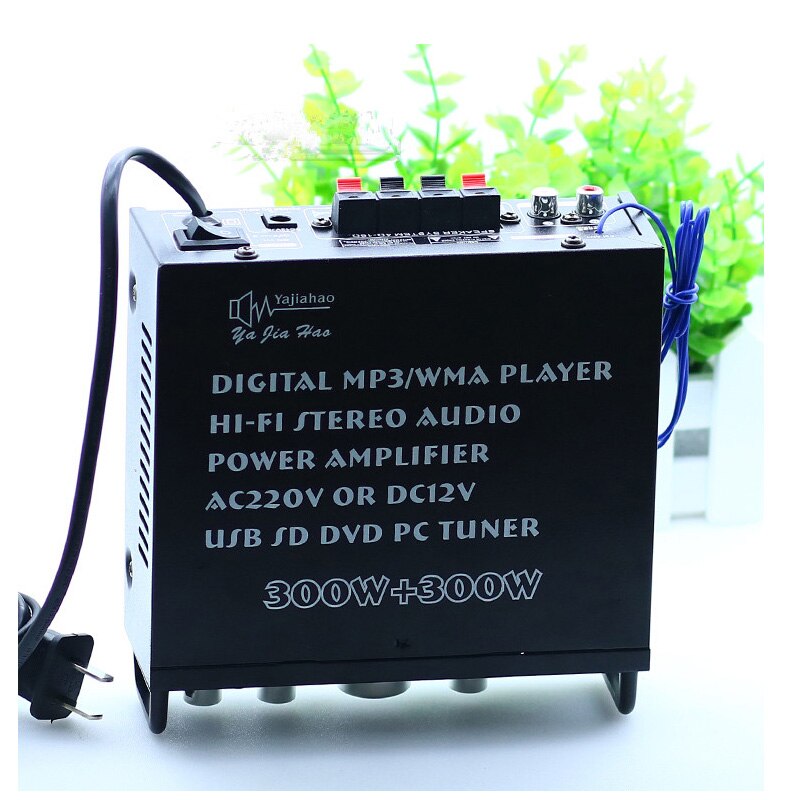 DC12 / AC 220V Mini 2 Channel Power Bluetooth 300W... – Grandado