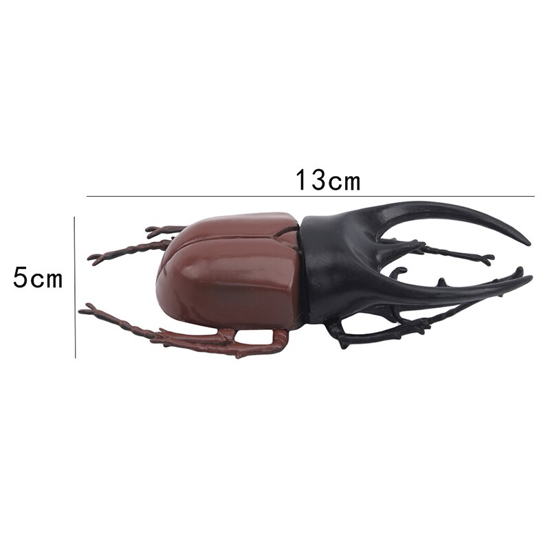 4 Style 13cm Simulation Beetle Toys Special Lifeli... – Vicedeal