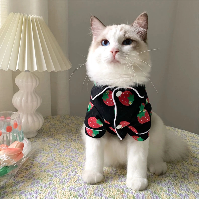 Spring Cat Costume Cute Cozy Pet Clothes for Cats ... – Vicedeal