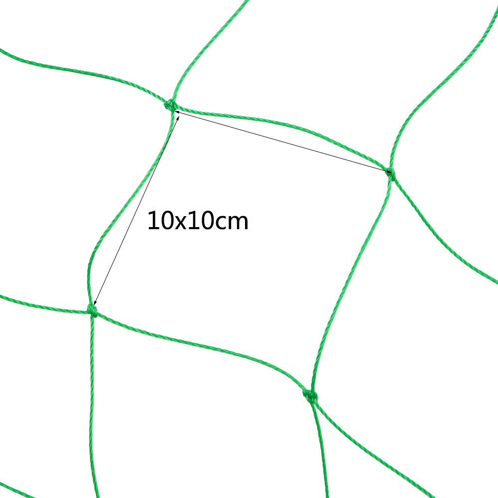 Garden Green Nylon Netting Loofah Morning Glory Fl... – Grandado