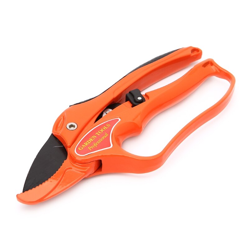 1Pc Tuin Gereedschap Snoeischaar Schaar Fruit Rate... – Grandado