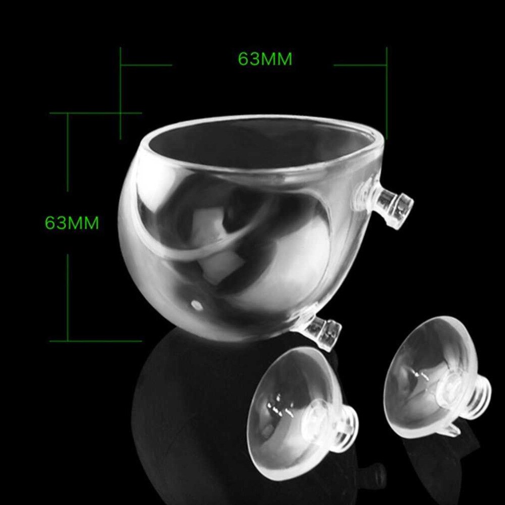 Mini akvariefisk akvarium levende plante kop lands... – Grandado