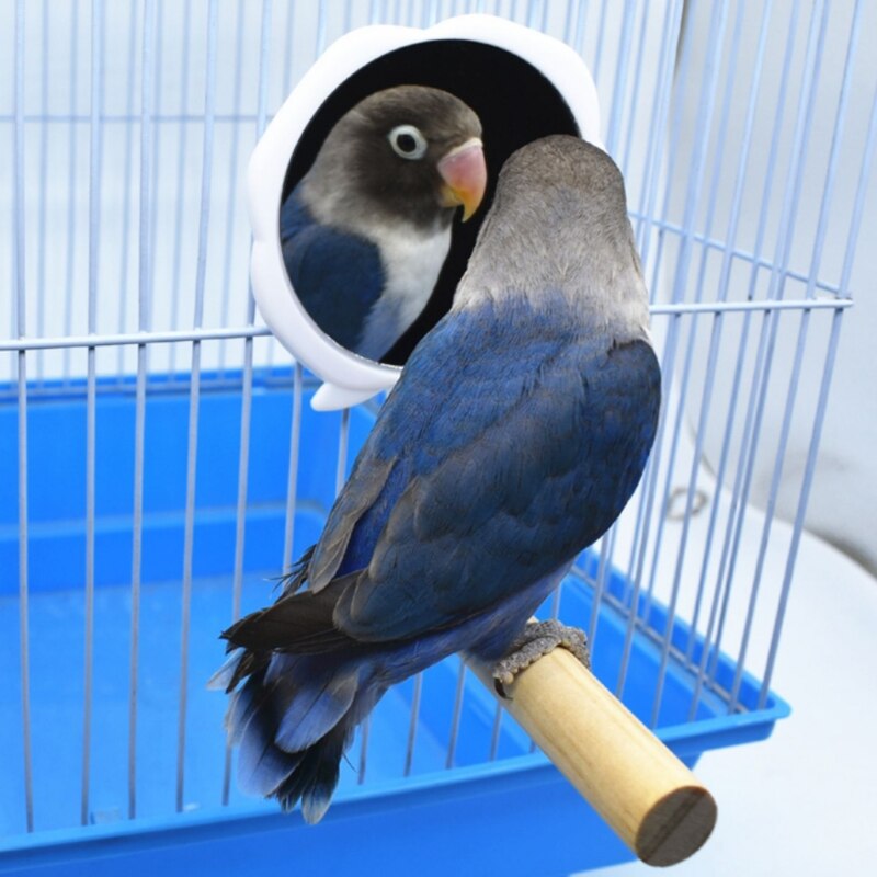 Parrot Perch Triangle Frosted Hen Stand Wood Table... – Grandado