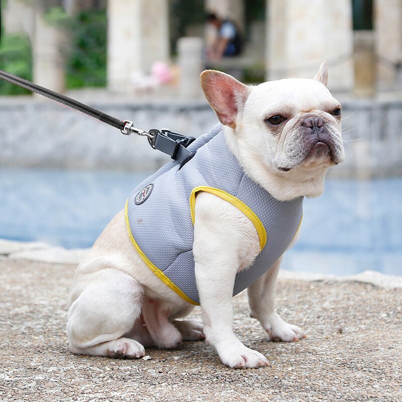 Dog Cooling Vest Puppy Shirt Summer Cooling Harnes... – Vicedeal