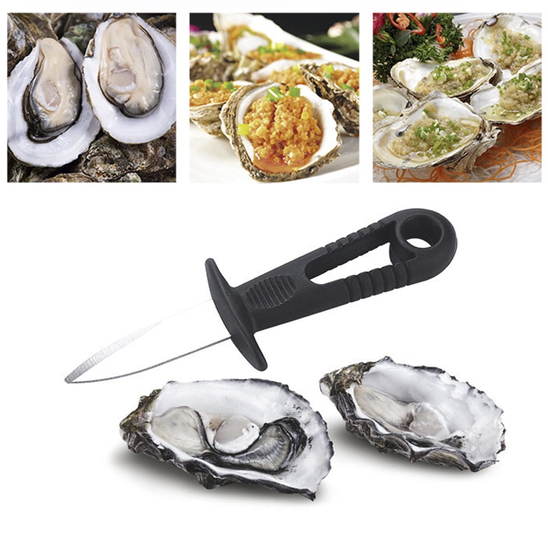 Holaroom Humanized Open Shell Tool Oysters Scallop... – Grandado