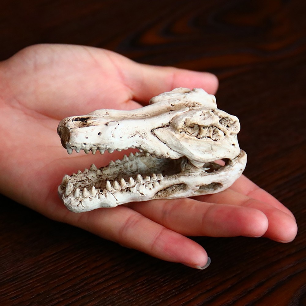 Reptile hiding hole Pattern Cave Hide-out Hide-awa... – Grandado