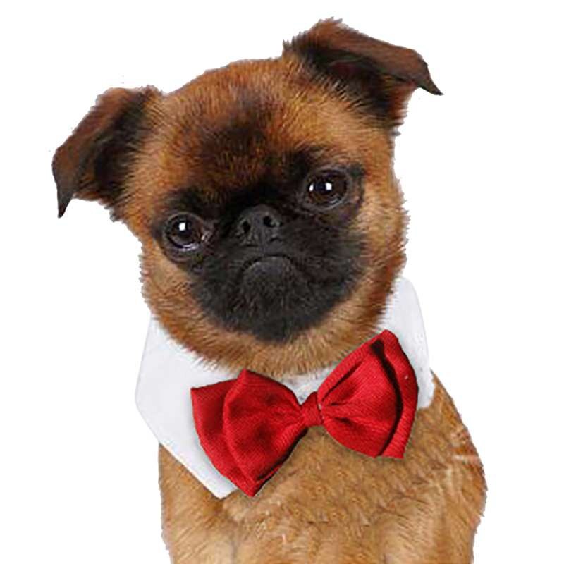 Pajarita ajustable para perros y gatos, corbatas p... – Grandado