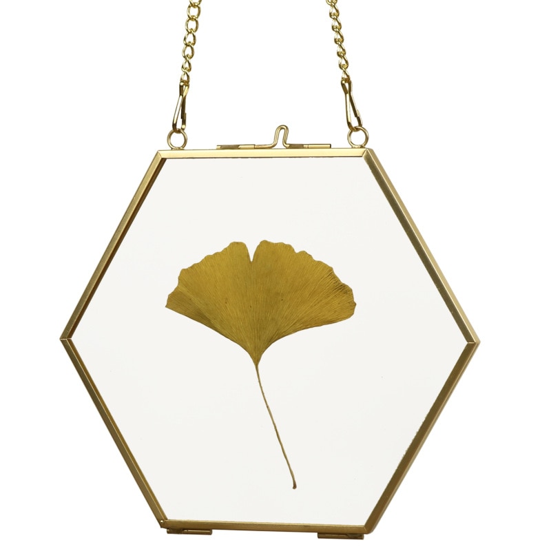 Hexagon Glass Photo Frame Copper Edge Simple Trans... – Vicedeal