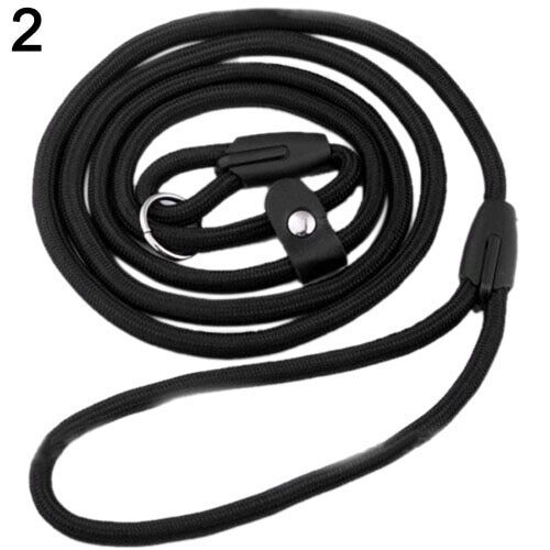 Pet Dog Nylon Rope Training Leash Slip Lead Strap ... – Grandado