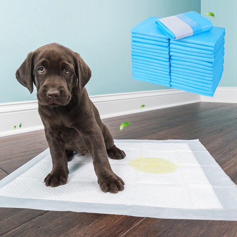 Super absorbent dog training pad healthy cleaning ... – Grandado