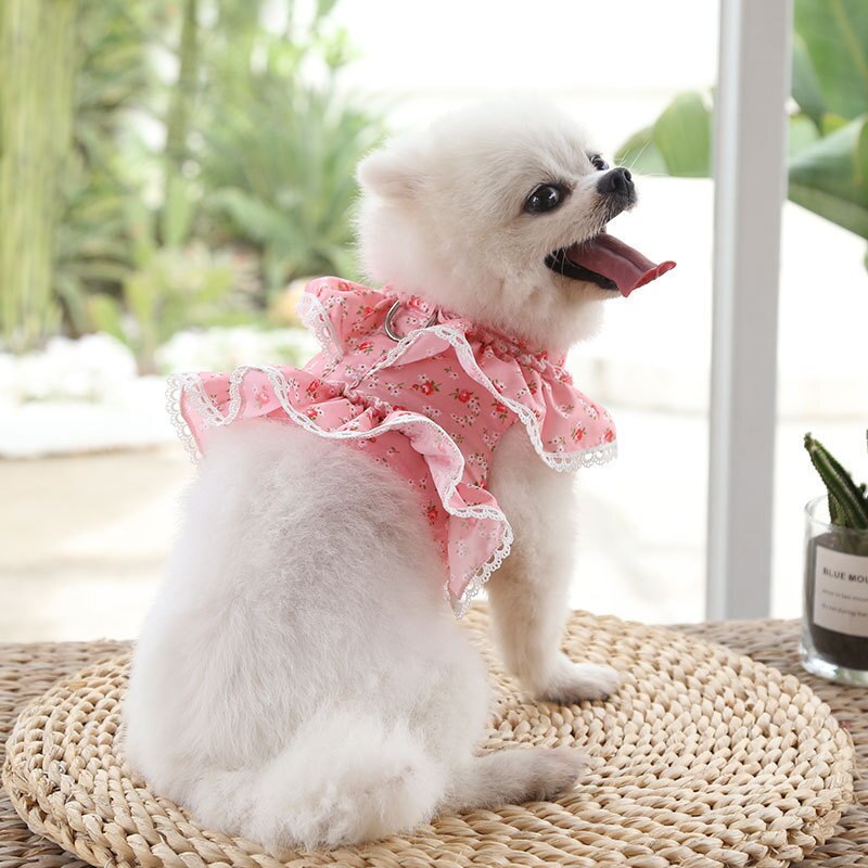 Lace Floral Small Dog Harness Vest Leash Suit Arne... – Grandado