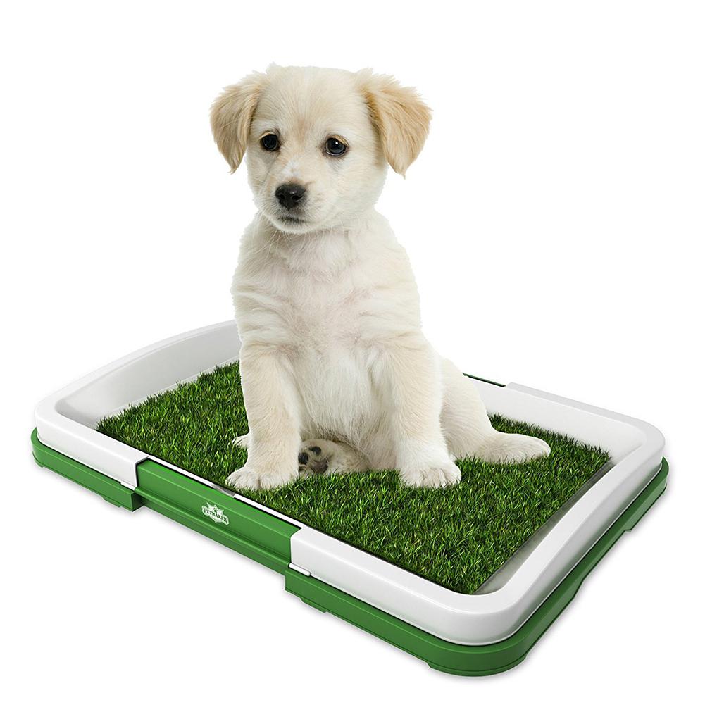 Portable Dog Training Toilet Potty Pet Puppy Litte... – Grandado