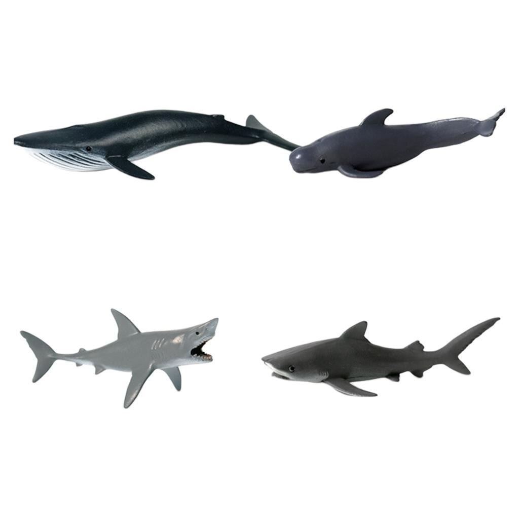 4 Pieces Nature Sea Life Animal Model Figures Pres... – Grandado
