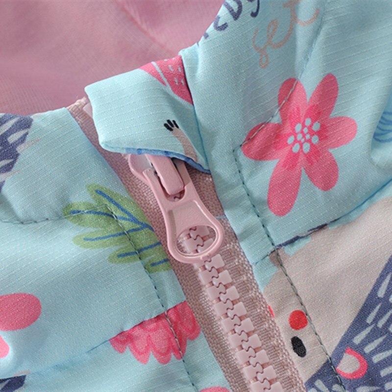 Girl's Jackets outerwear Cartoon Hedgehog patt... – Grandado