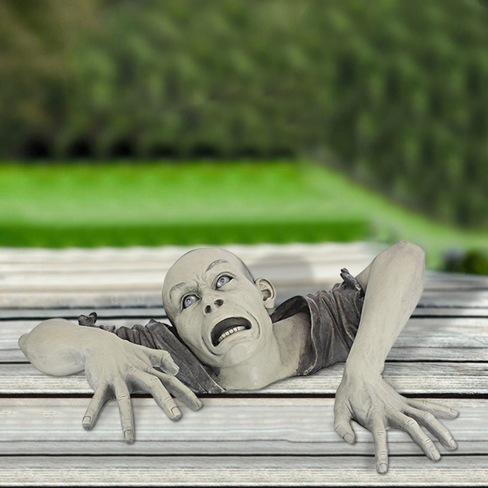 Grappig Hars Grond Decoratie Tuinbeelden Honor Pix... – Vicedeal