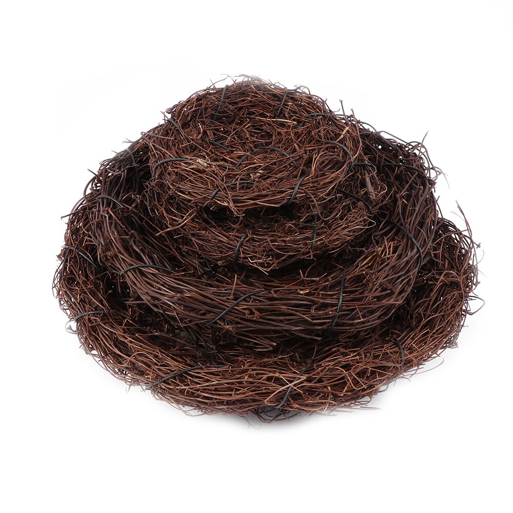 Bird Nest Bird Cage Marriage Proposal Wedding Phot... – Grandado