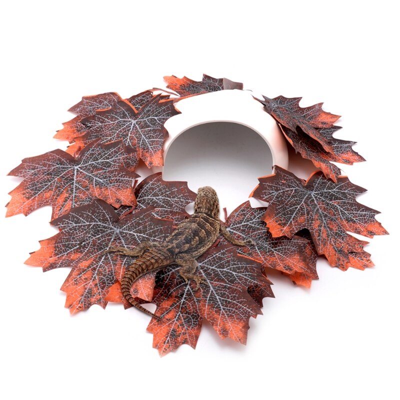 Snake Hides Small Reptile Hideout Caves Terrarium ... – Grandado