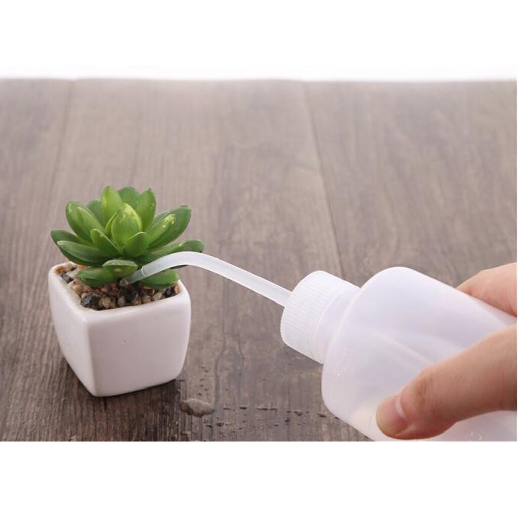Plastic Watering Bottle For Small Plants, 250 Ml /... – Grandado