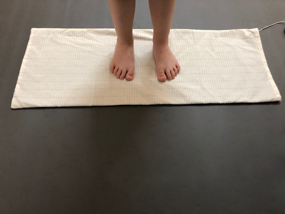 Grounding Universal Mat with cover bag EMF protect... – Grandado