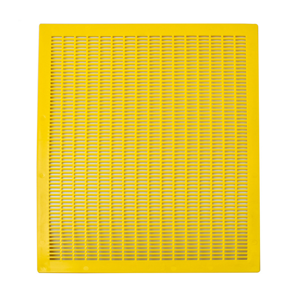 1PC Bienenzucht Kunststoff Biene Königin König Sch... – Grandado