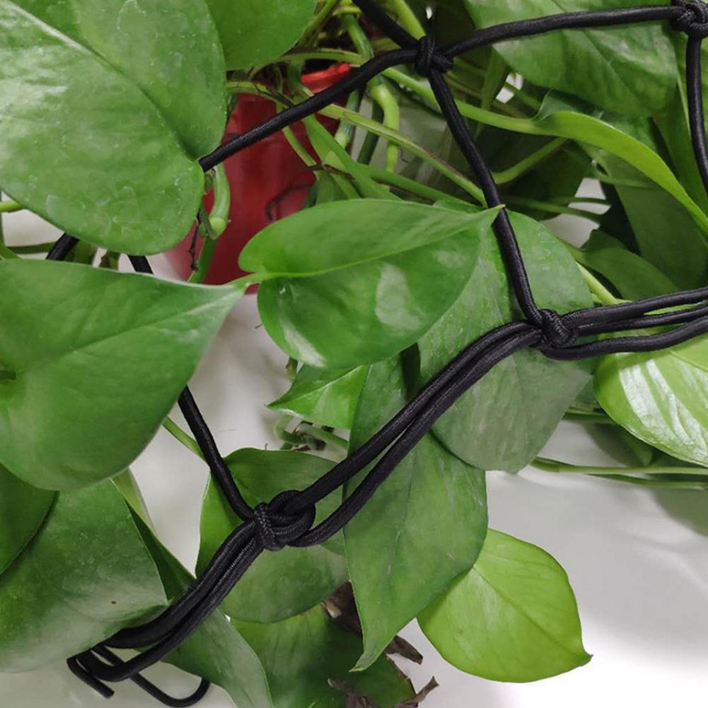 Elastic Rubber Growing Tent Garden Trellis Net Sup... – Vicedeal