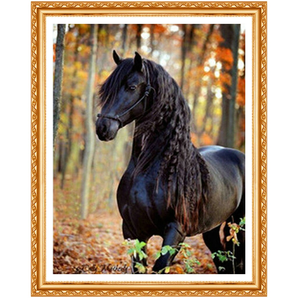Diamant broderi sort hest 5d diy diamant maleri ko... – Grandado