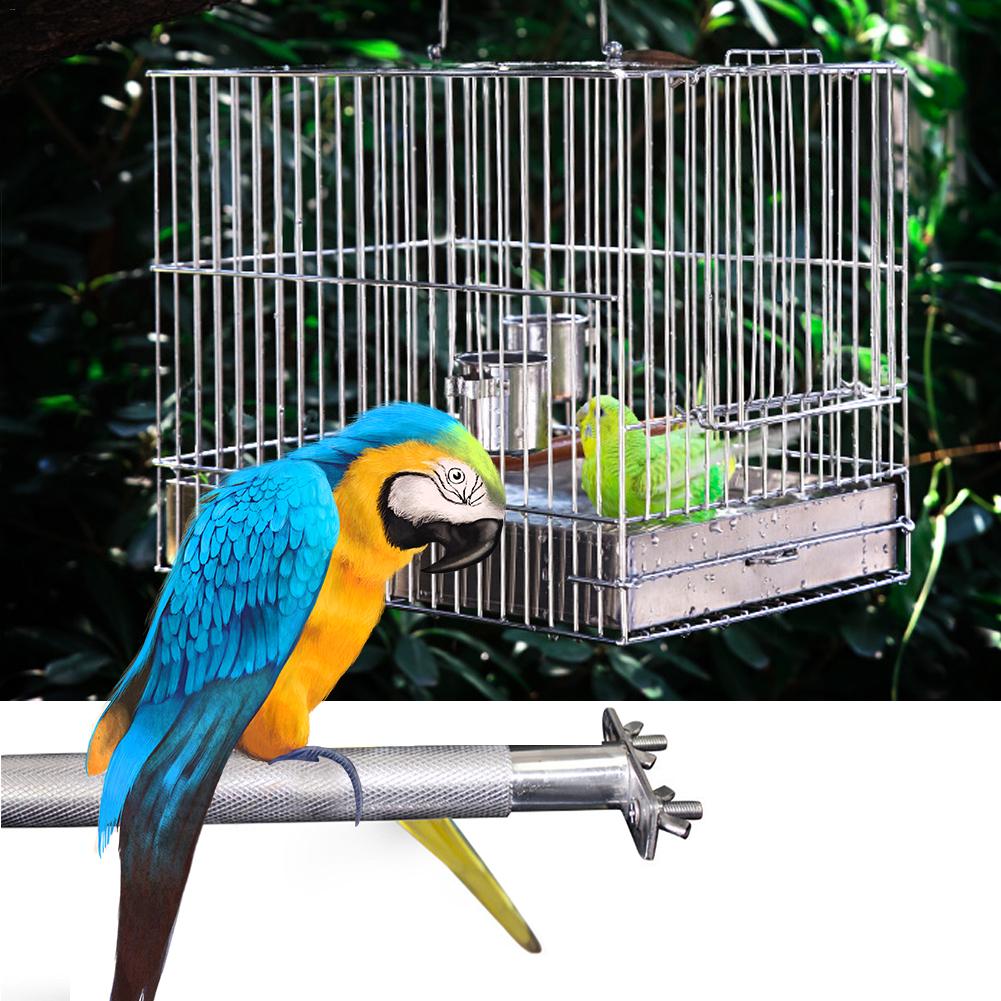 Bird Parrot Pet Stand Holder Stainless Steel Grind... – Grandado