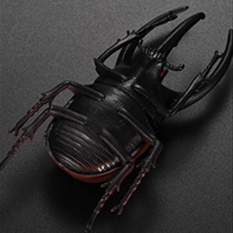 6pcs/set Simulation Solid Static Insect Model Orna... – Vicedeal