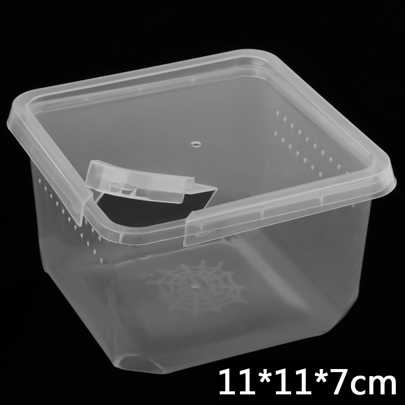 Clear Plastic Insect Lizard Spider Habitat Fokken ... – Vicedeal