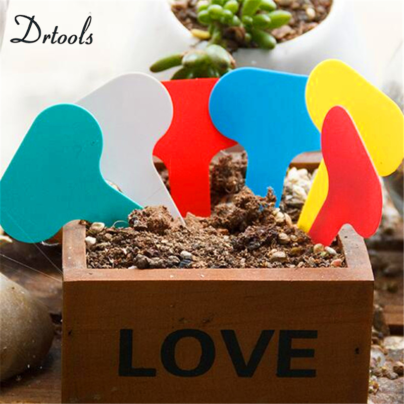 100pcs-pack Random Color Plastic Plant Seed Labels... – Grandado