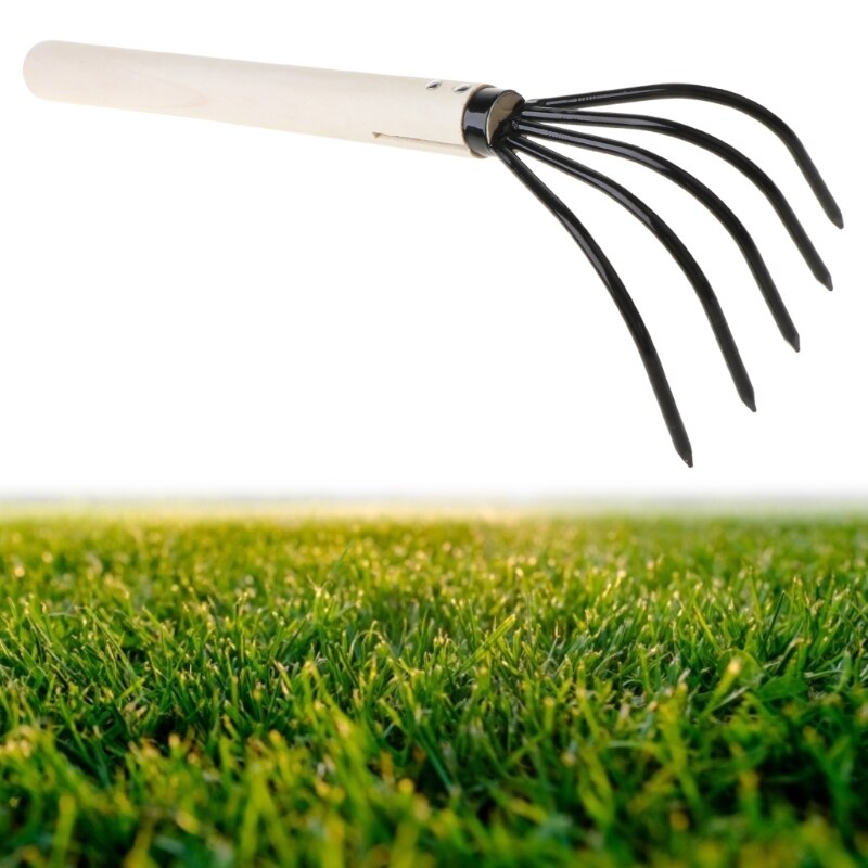 Garden Leaf Collection Five-tooth Rake Comb Weeder... – Grandado