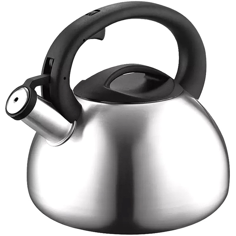 Home Stainless Steel Kettle Sounding Large Capacit... – Grandado