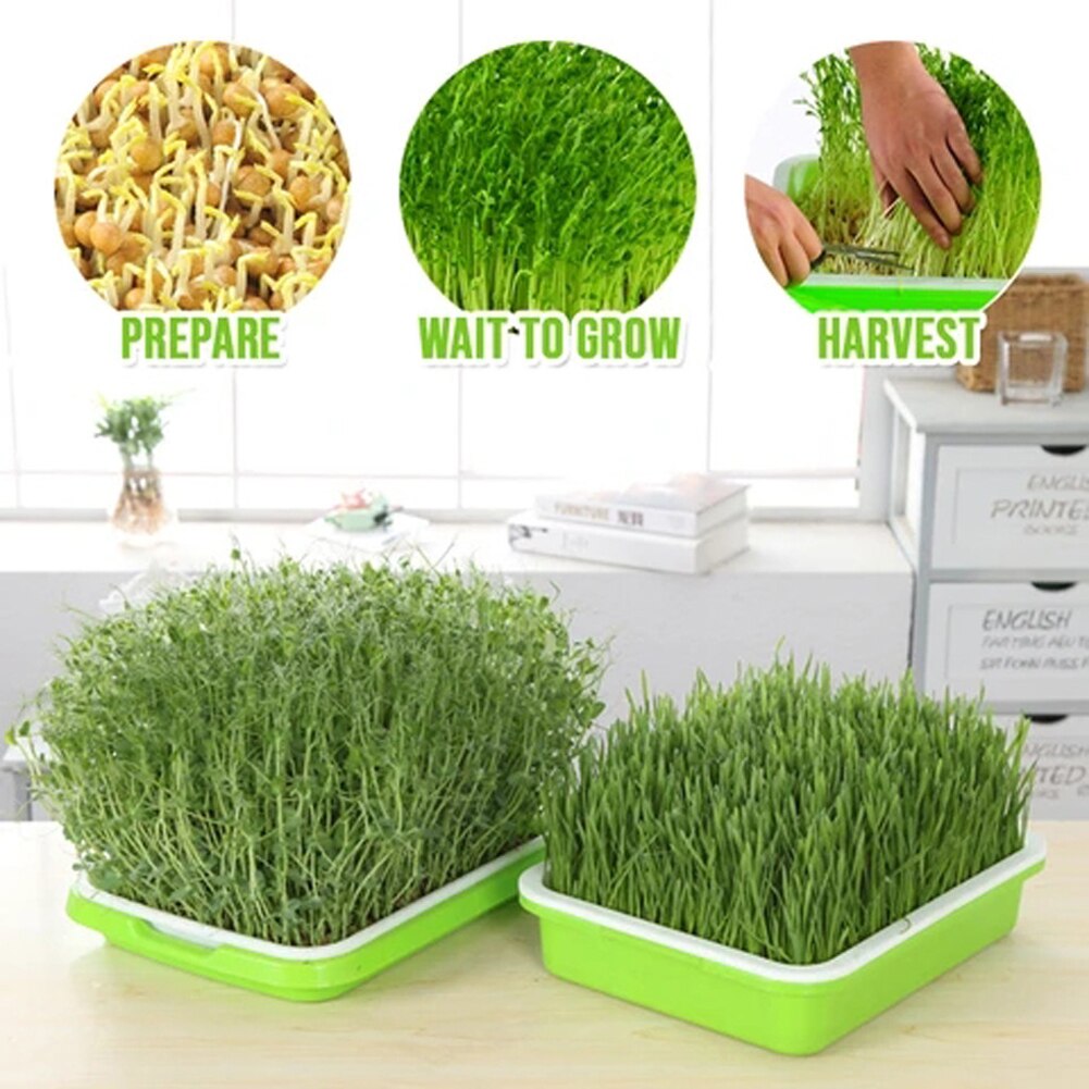 Nursery Pots Sprouting Tray Bean Sprout Planter Sm... – Grandado