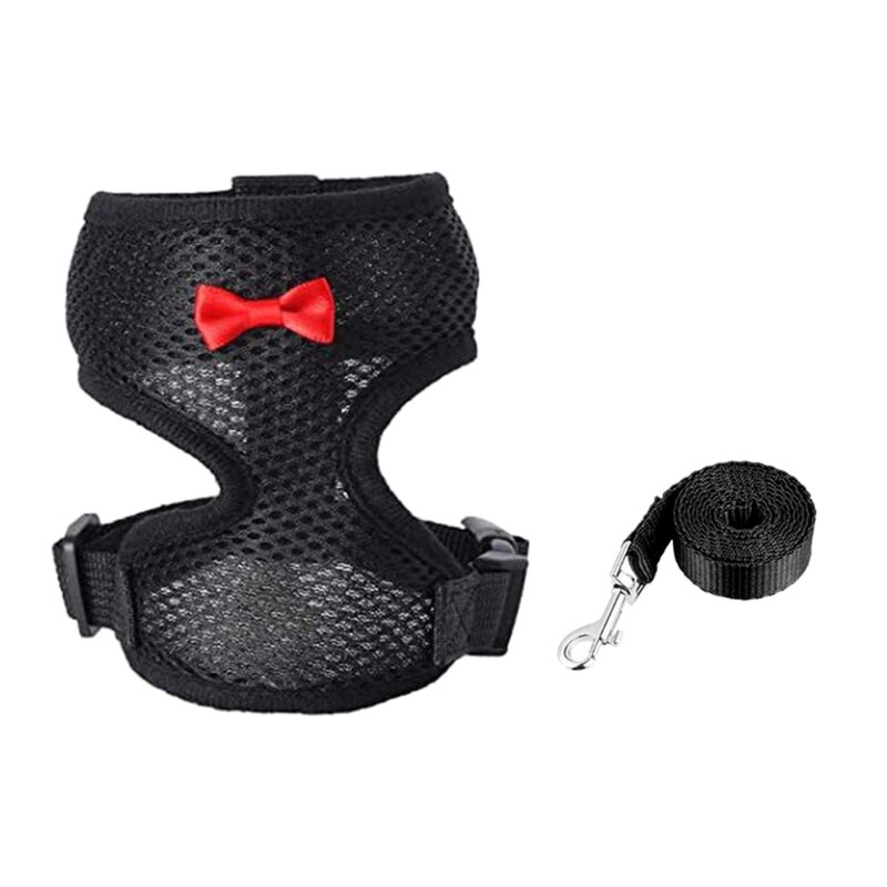 K5DC Chicken Harness with Leash Adjustable Chicken... – Vicedeal