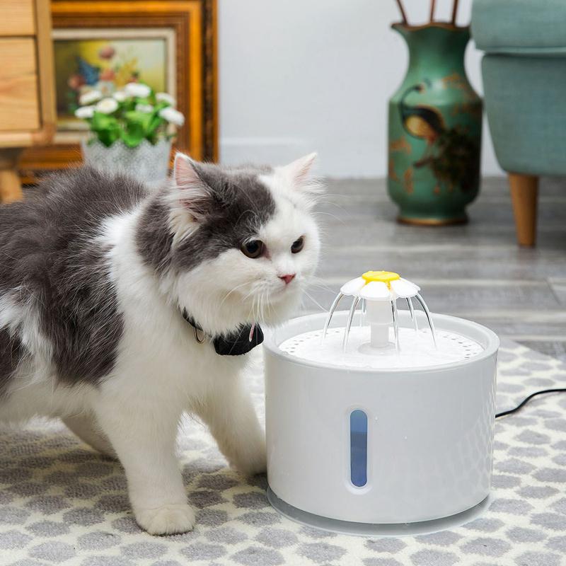 Dog Cat Toy Led Fountain Pump Healthy Ultra Silent... – Grandado