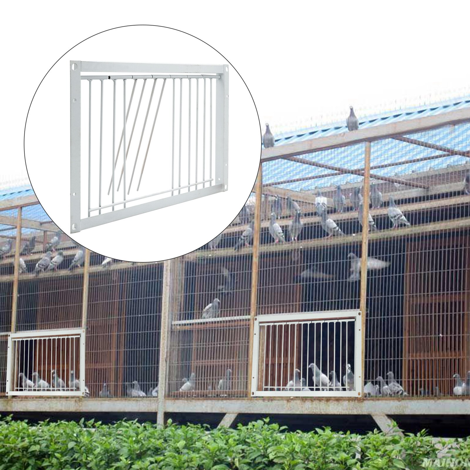 Pigeon Door Metal Wire Bars Frame Entrance Trappin... – Grandado