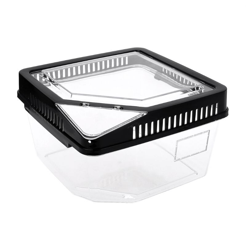 Plastic Container Reptile Feeding Box Spider Scorp... – Vicedeal
