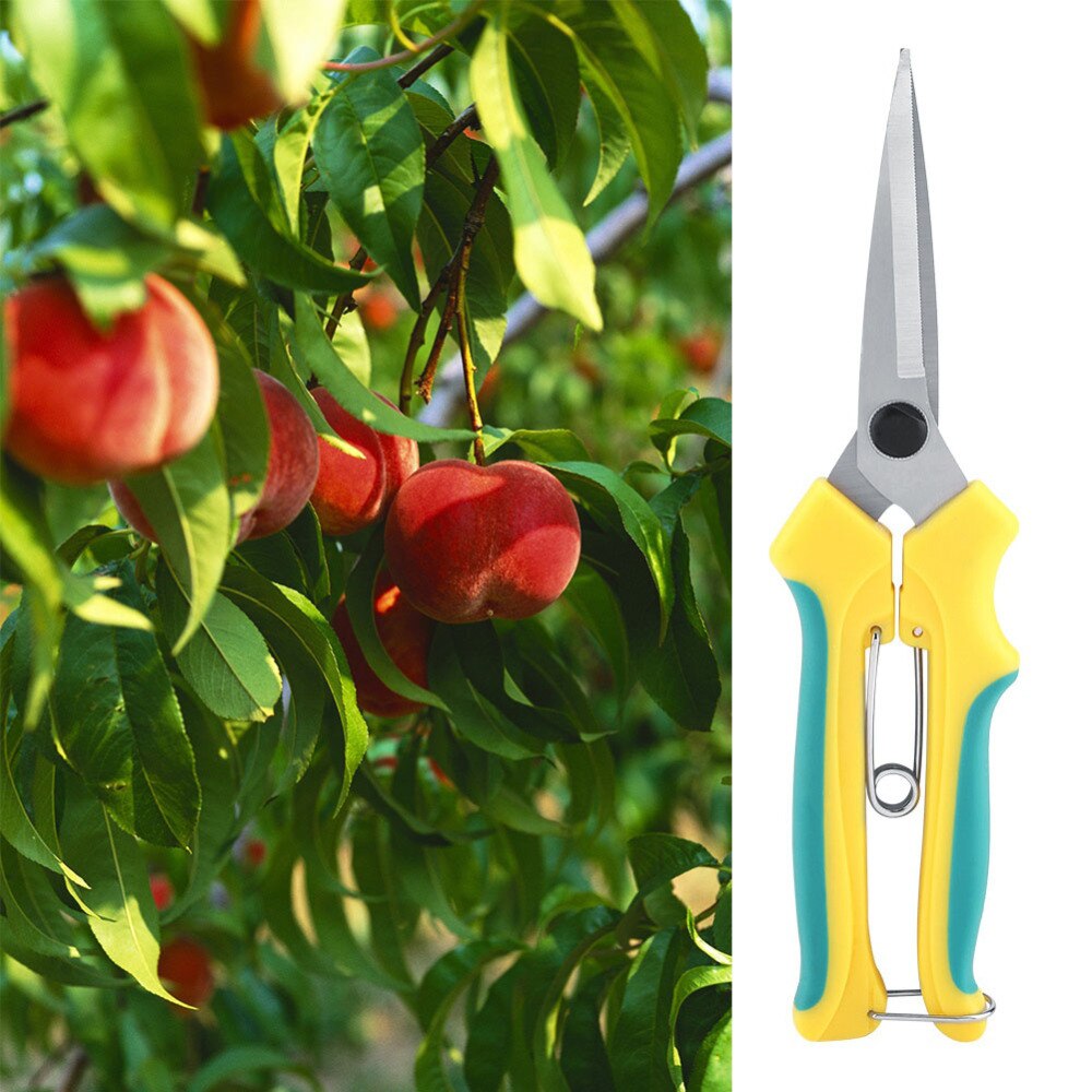 Upgraded Pruning Shear Garden Scissor Gardening Br... – Grandado