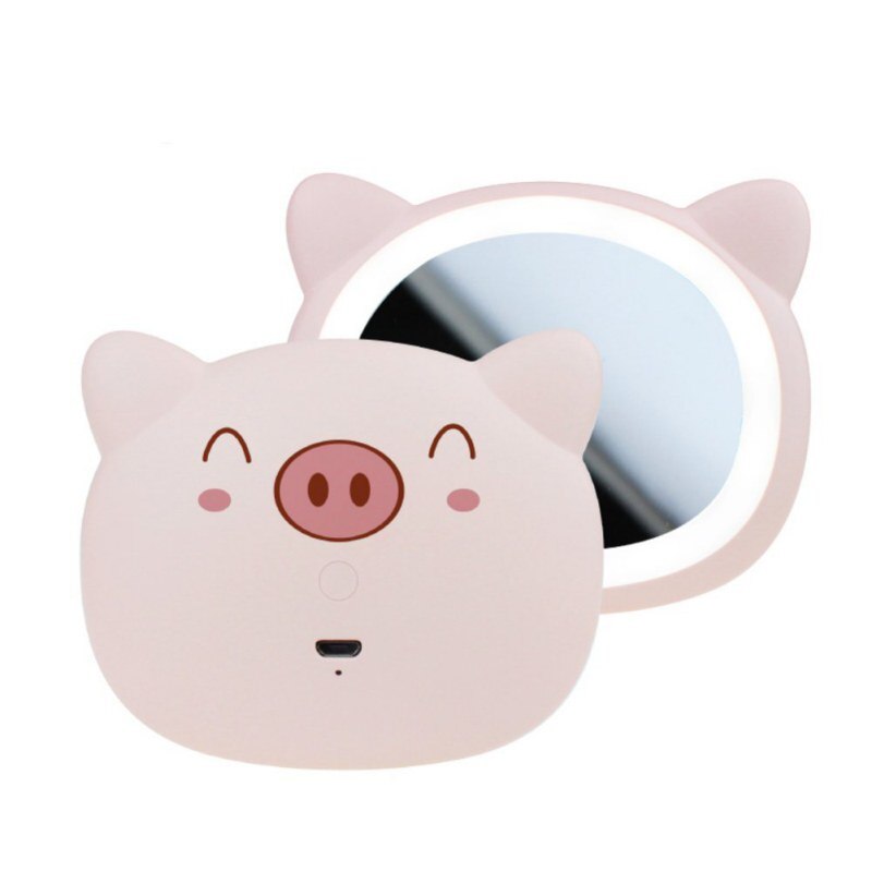 Usb Charge Mirror Lamp Handheld Cosmetic Mirror Ni... – Vicedeal