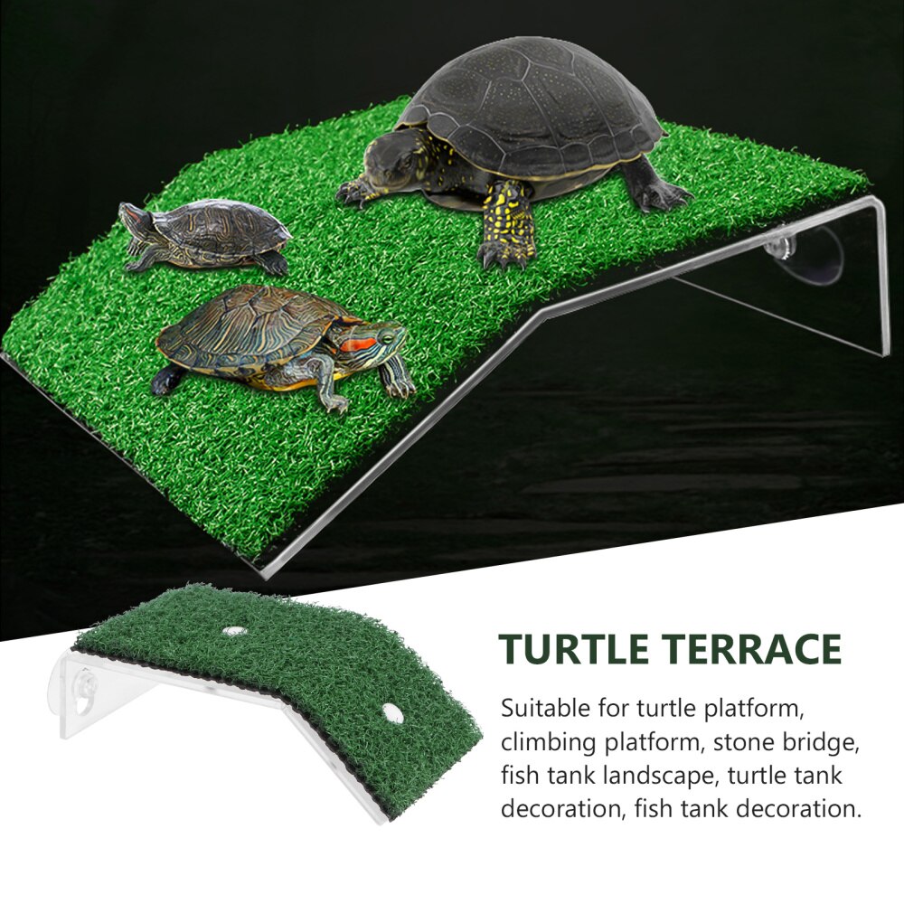 Tortoise Climbing Platform Turtle Reptile Climbing... – Grandado