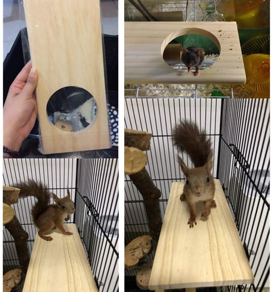 Wood Stand Platform Pet Perch Shelf Board for Parr... – Grandado