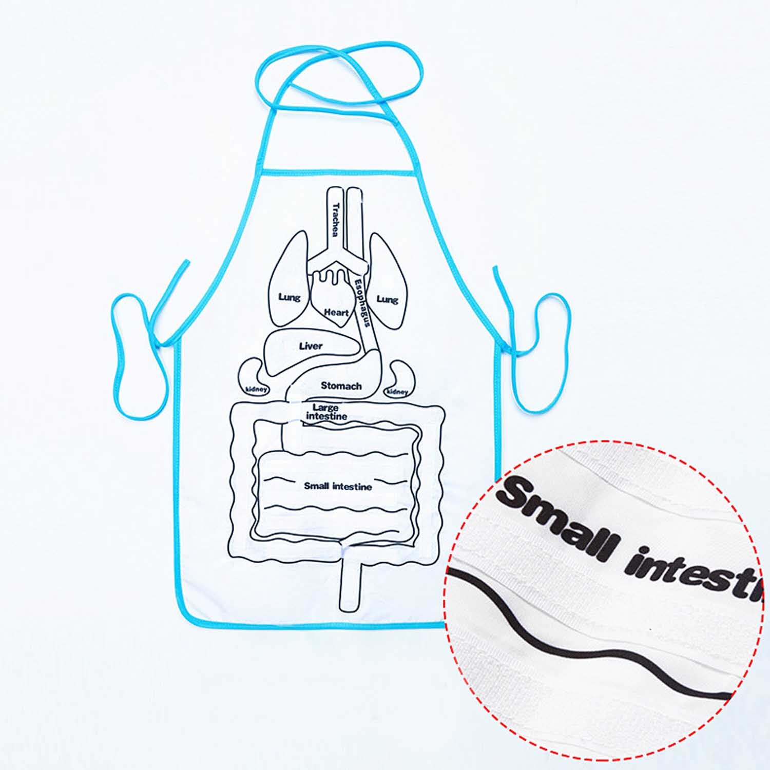 Children Anatomy Apron Human Body Organs Awareness... – Vicedeal