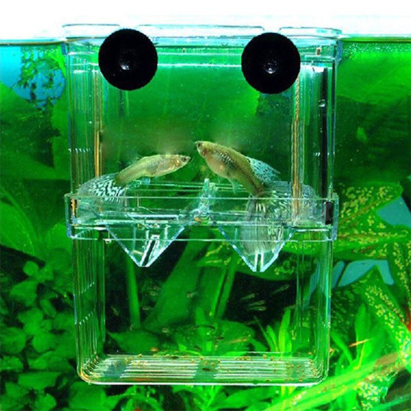 Aquarium Fish Tank High Clear Fish Breeding Isolat... – Grandado