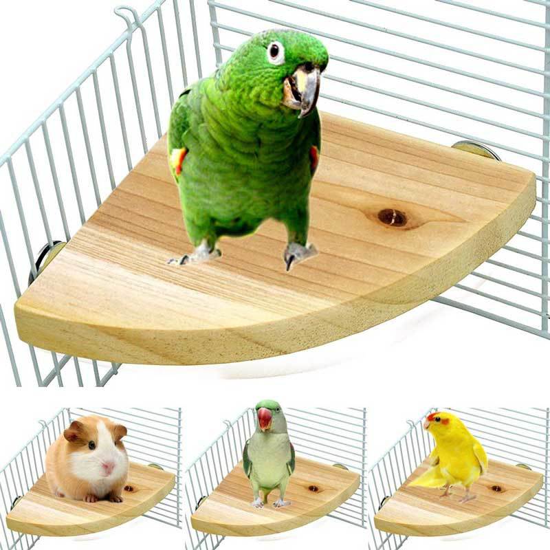 Pet Bird Perch Platform Stand Wood for Small Anima... – Grandado