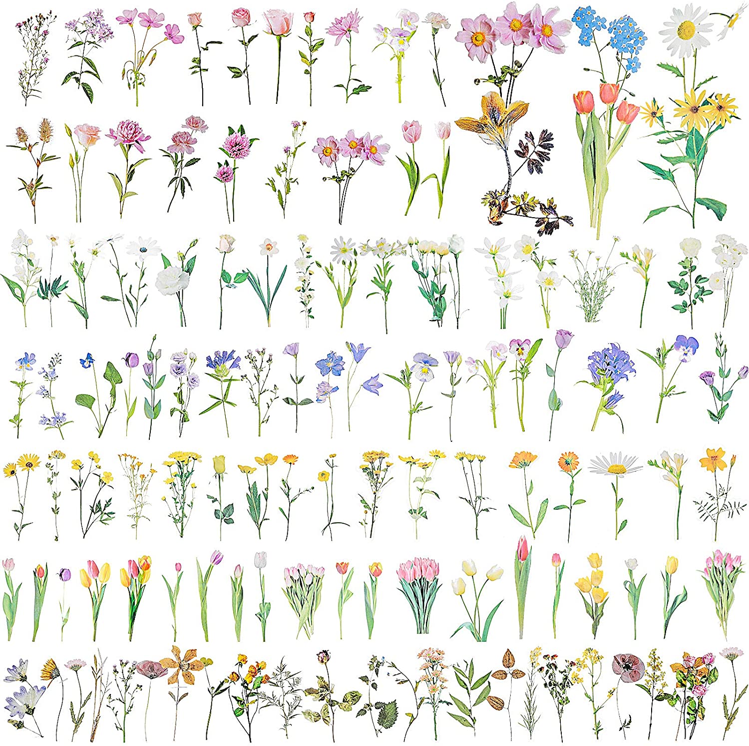 Transparent Flower Stickers Assorted Styles Floral... – Grandado